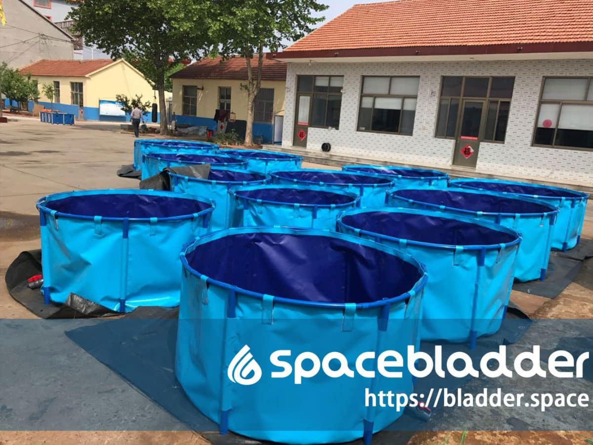 Collaspible Folding Durable Koi Fish Tank For Koi Fish Showing | Space ...