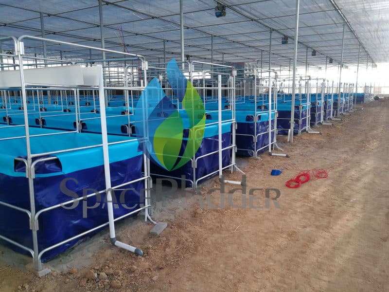 Foldable Aquaculture Tank | Space Bladder