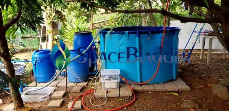 What's the best backyard fish farming tank to buy? | Space Bladder